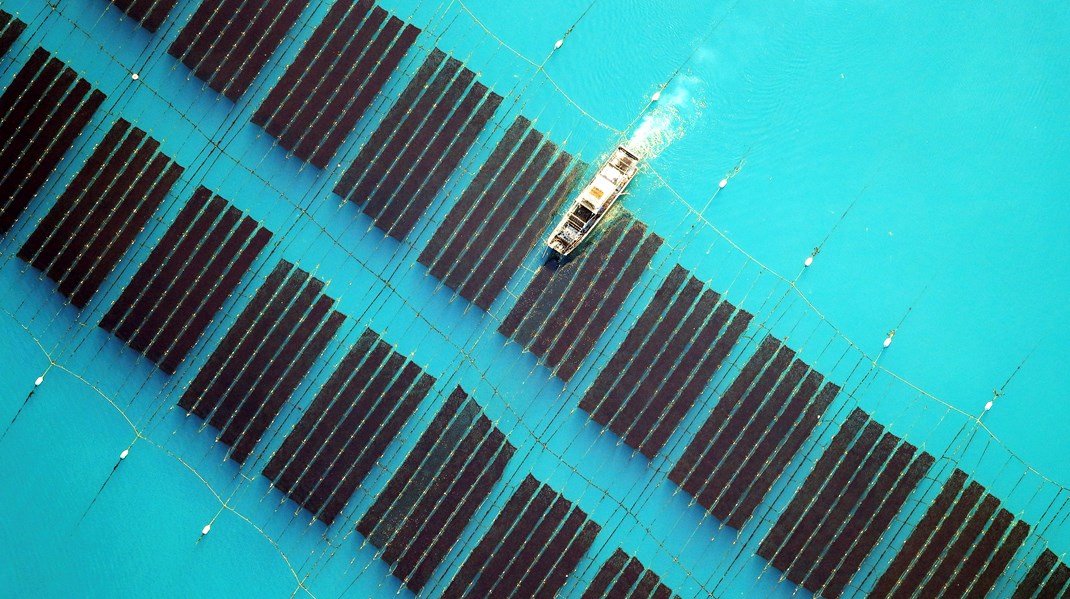 Ka’ De li’ tang? - Mandag Morgen